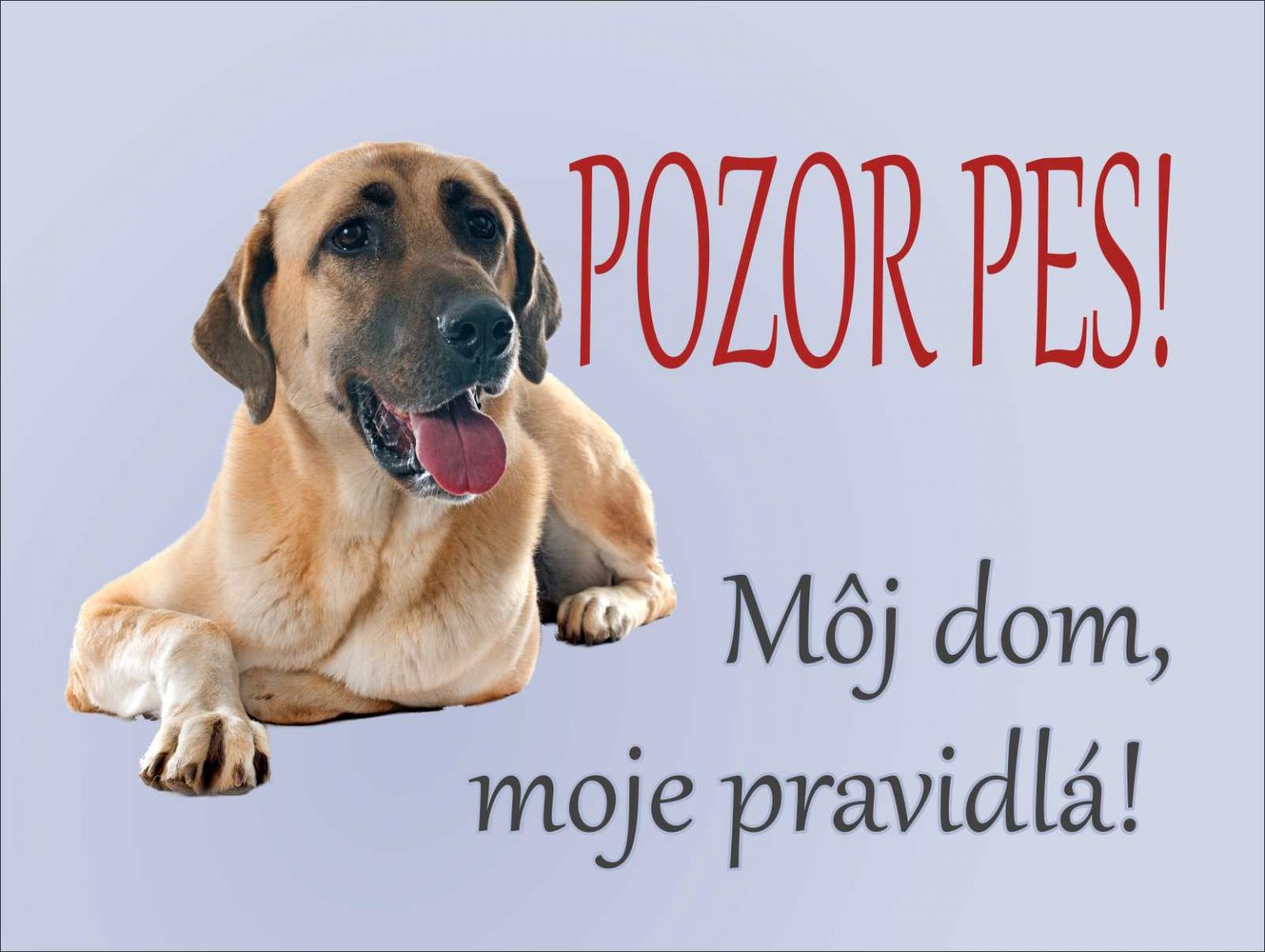 Anatolsky pastiersky pes. Pozor pes! Môj dom, moje pravidlá! - PAKRISZ ...